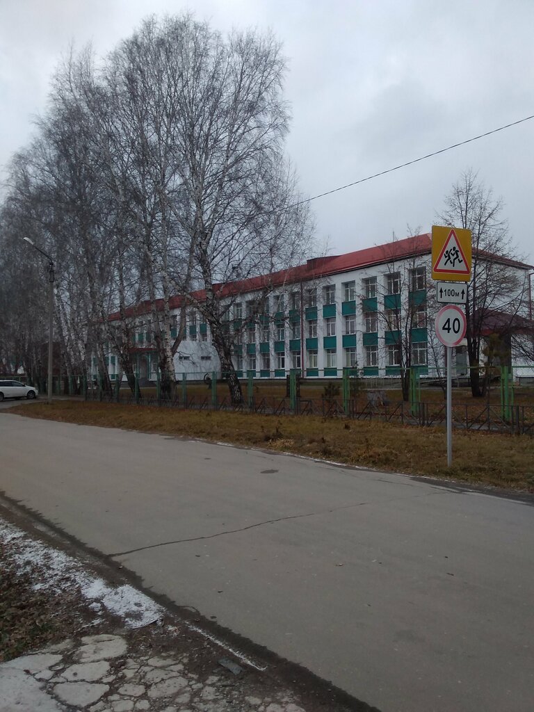 Ortaokul Средняя общеобразовательная школа № 1, Novosibirskaya oblastı, foto