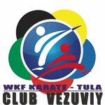 Везувий (ulitsa Lva Tolstogo No:13), spor kulüpleri  Veniov'dan