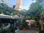 Şehsuvar Bey Camii (İstanbul, Fatih, Şehsuvar Bey Mah., Işıl Çk. Sok., 3), cami  İstanbul'dan