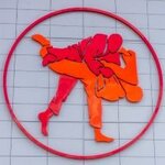 Judo arena (Akademika Sakharova Avenue No:37Б), çok amaçlı spor tesisleri  Yekaterinburg'dan