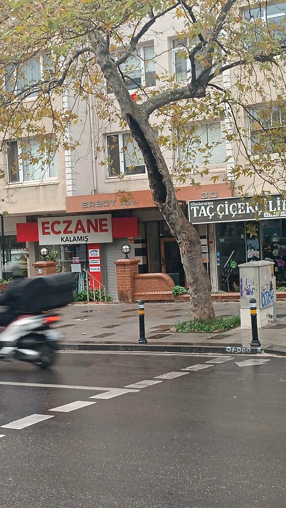 Yapay bitki ve çiçek Taç Çiçekçilik, İstanbul, foto