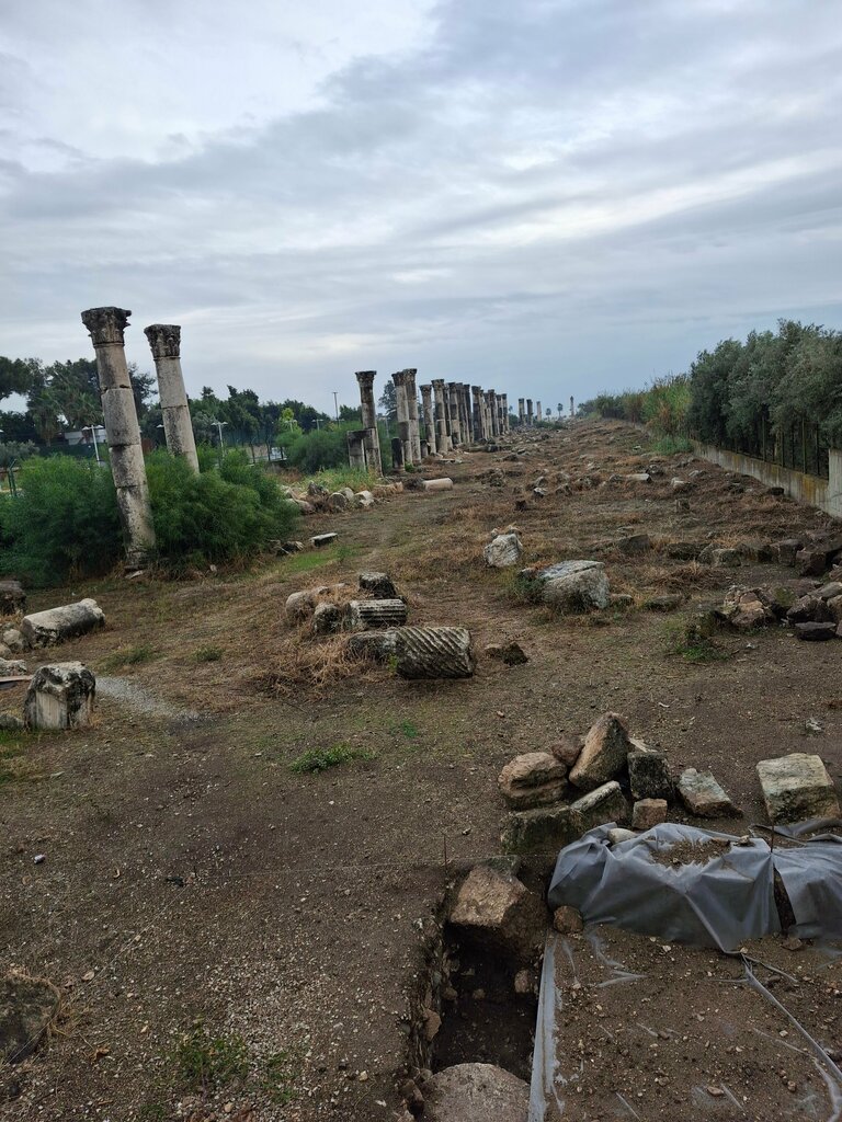 Müzeler ve sanat galerileri Soli Pompeiopolis Kazı Evi, Mersin, foto