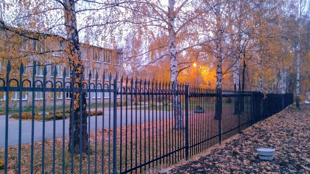 Lise Litsey № 7, Kstovo, foto