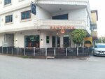 Pawtopia (Adana, Çukurova, Güzelyalı Mah., 81061. Sok., 3B), evcil hayvan kuaförleri  Adana'dan
