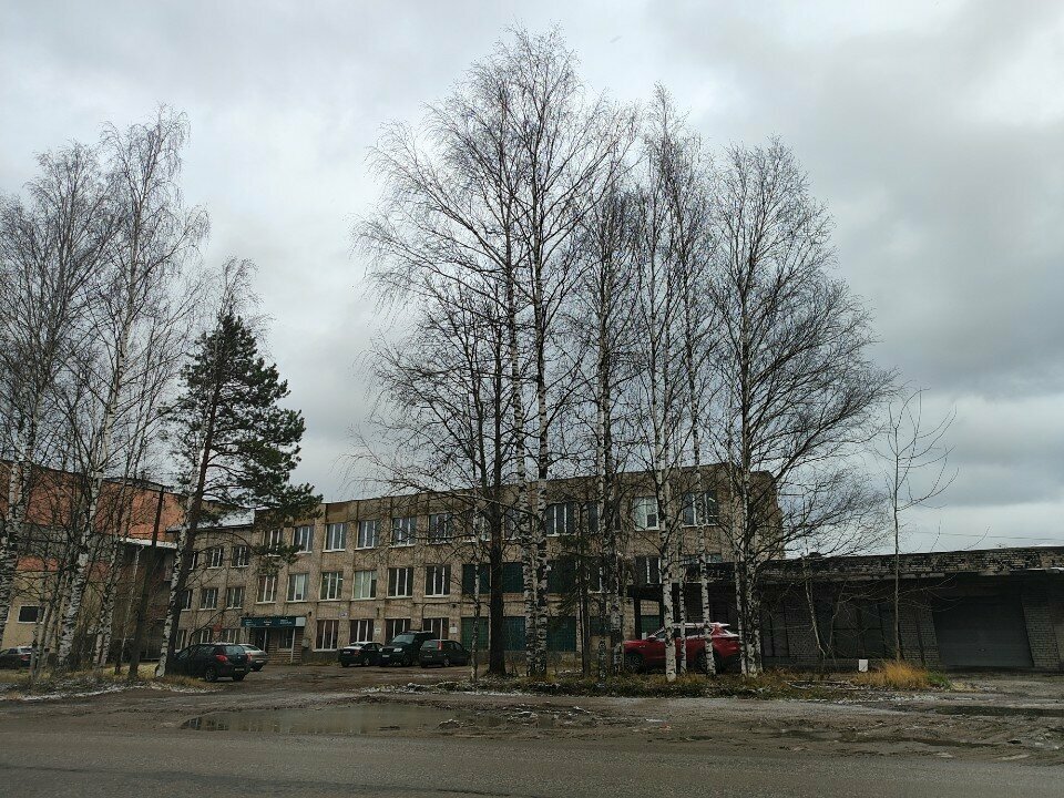 Otomobil servisi Avtoservisnaya kompaniya Turbolayn, Tixvin, foto