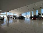 Umur Otomotiv Fıat Yetkili Bayi (Yukarıazıklı Mah. Kızıltepe Yolu 10. Km., Kızıltepe, Mardin), otomobil satış galerileri  Kızıltepe'den