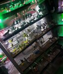 Cem Akvaryum Ve Kuş Evi (Hatay, Dörtyol, Numune Evler Mah., Köşk Sok., 13), petshop  Dörtyol'dan