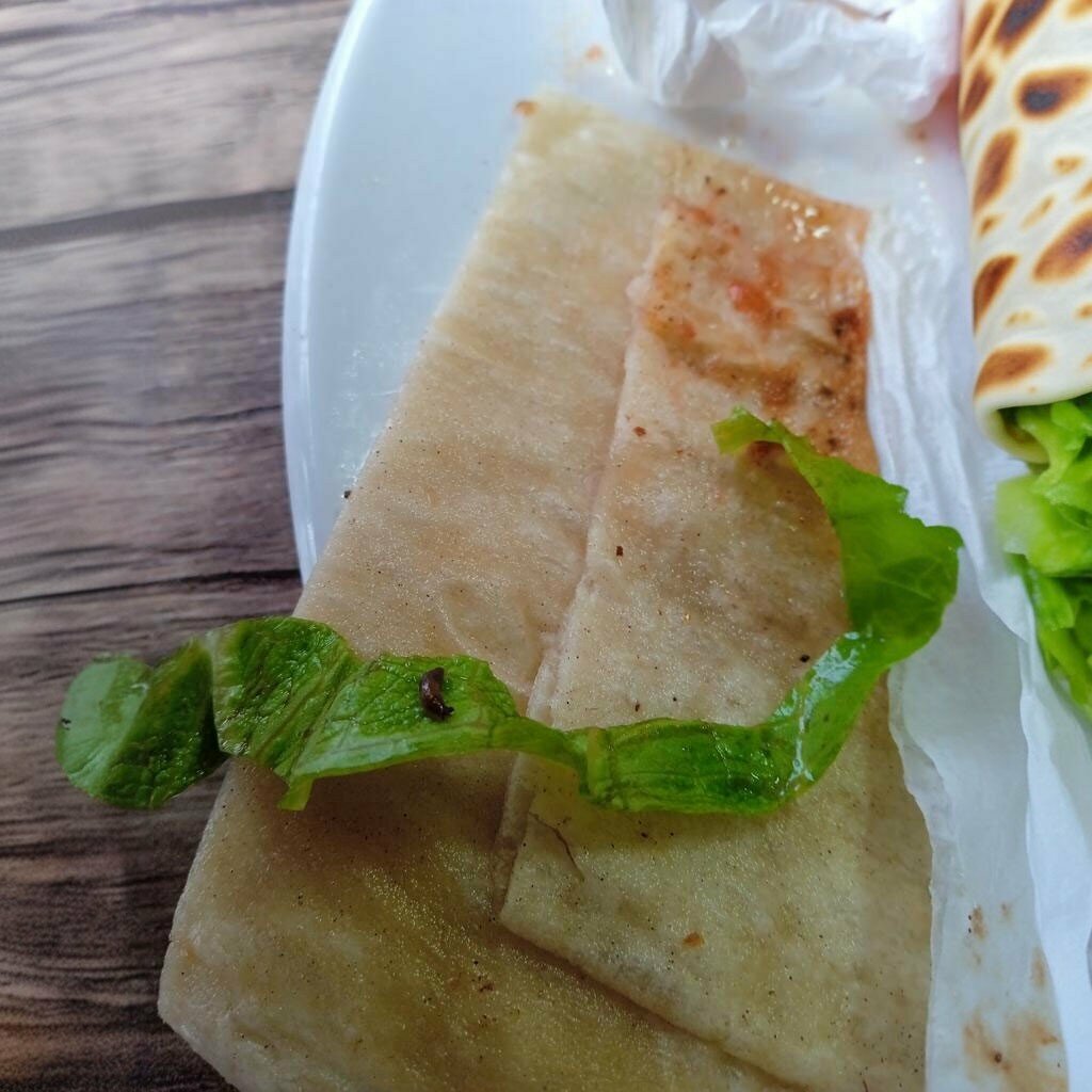 Restoran Meşhur Bahar Döner, Samsun, foto