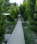 Çamlık Et Mangal (Cumhuriyet Mah., Çamlık Sok., No:3, Kapaklı, Tekirdağ), kafe  Kapaklı'dan