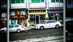 Orkide (Erzurum, Yakutiye, Lalapaşa Mah., Çaykara Cad., 4O), çiçekçiler  Erzurum'dan