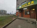 Лит. РА (Kuzbasskoy Divizii Street No:28), bira dükkanı  Pskov'dan