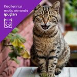 Küppets (Muğla, Dalaman, Karaçalı Mah., Ömer Musa Siva Cad., 52B), petshop  Dalaman'dan