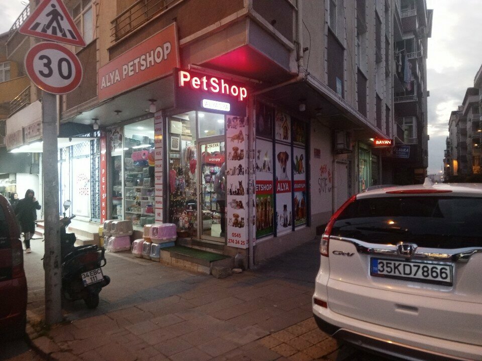 Petshop Alya Petshop, İstanbul, foto
