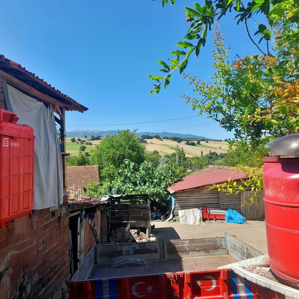 Muhtarlıklar Kızgüldüren Köy Muhtarlığı, Taşova, foto