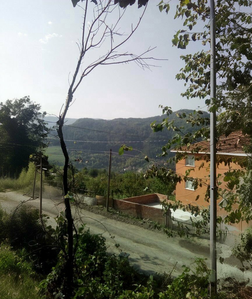 Cami Yeşilöz Köyü Cami, İnebolu, foto