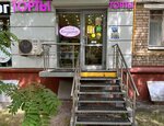 Narodnyi Konditer (3rd Parkovaya Street No:4), pasta, şekerleme ve tatlı  Moskova'dan