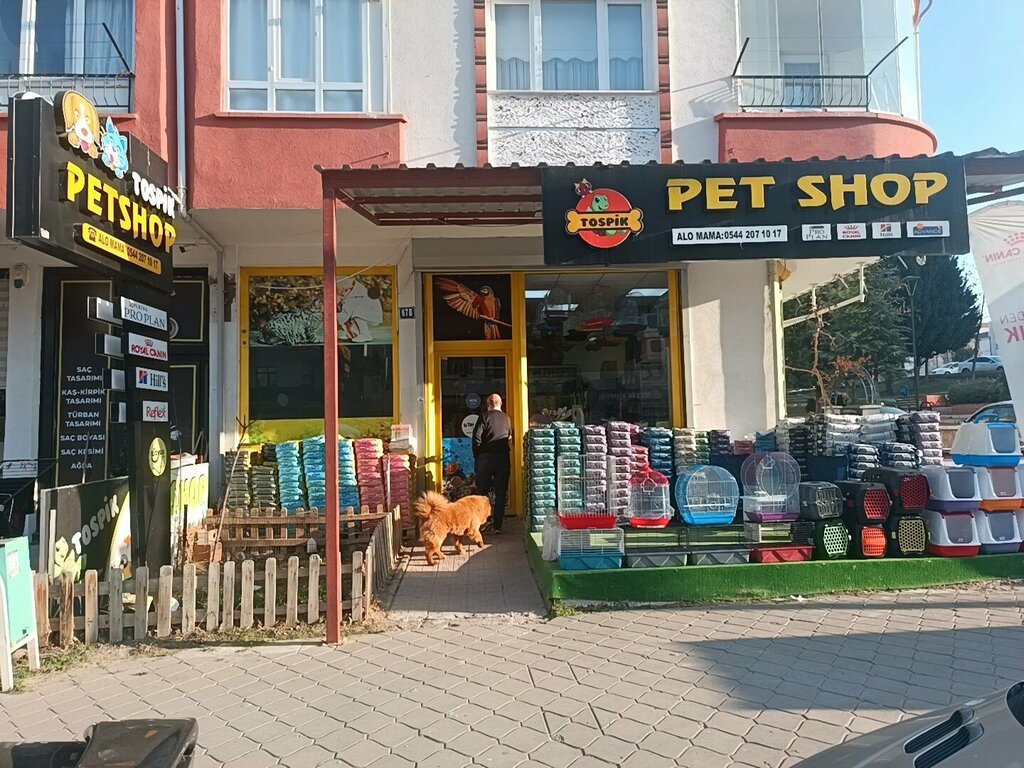 Petshop Tospik Petshop, Ankara, foto