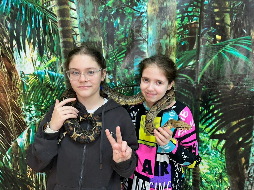 Piknik alanı Место для пикника, Çeliabinskaya oblastı, foto