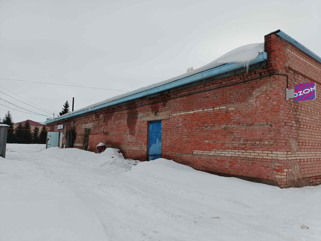 Teslimat noktası Ozon, Orenburgskaya oblastı, foto