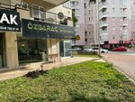 Özsaraç Gayrimenkul (Sinanoğlu Cad., No:75C, Muratpaşa, Antalya), emlak ofisi  Antalya'dan