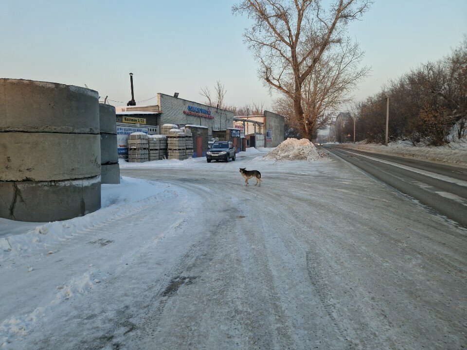 Beton ve beton ürünleri üreticileri Belovodje, Öskemen (Ust‑Kamenogorsk), foto