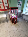 Автомат с мягкими игрушками (Lidii Ryabtsevoy Street No:52), vendomat  Voronej'den