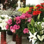 Lavinya Çiçek Evı (Bolu, Bolu Merkez, Karamanlı Mah., Stadyum Cad., 1/1A), çiçekçiler  Bolu'dan