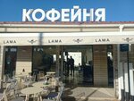 Coffee Lama (Nesebrskaya Street No:1/2, Tsentralniy Microdistrict), kahve dükkanları  Soçi'den