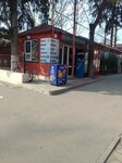 Köşk (Mingachevir, Nizami küçəsi), gazete bayi  Mingeçevir'den