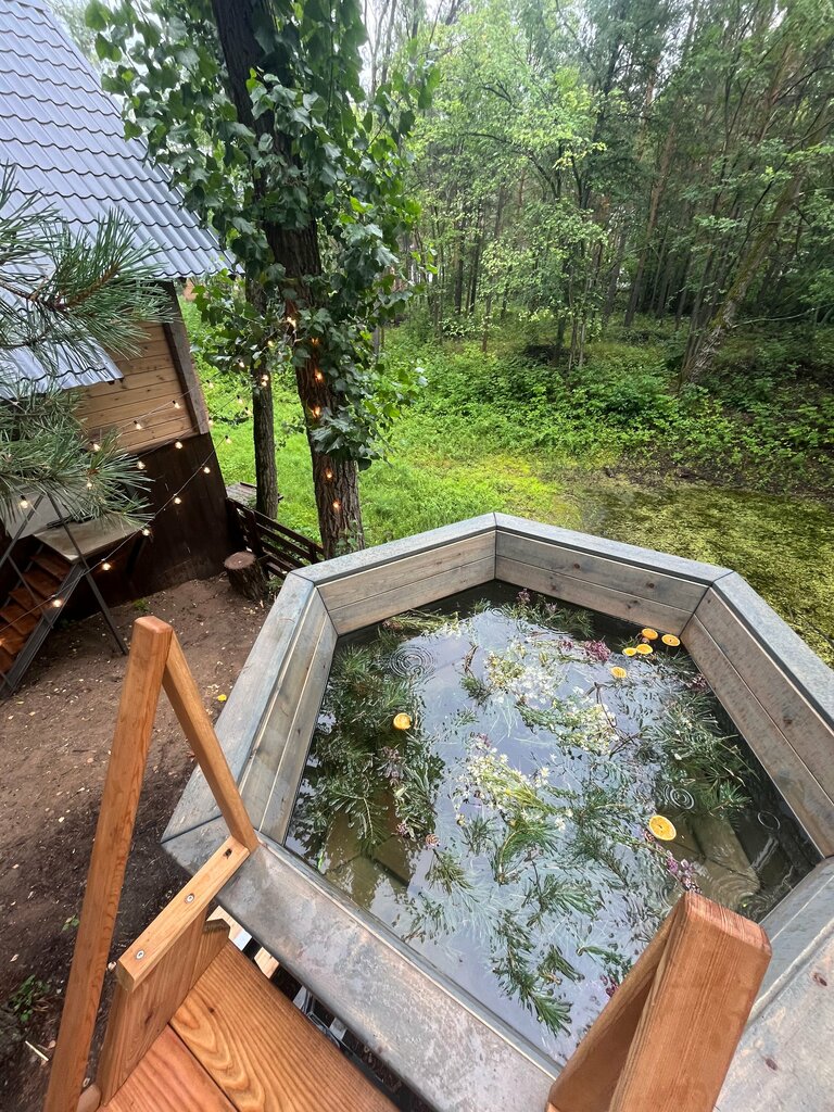 Resort oteller, tesisler Хвоя Эко, Samara, foto