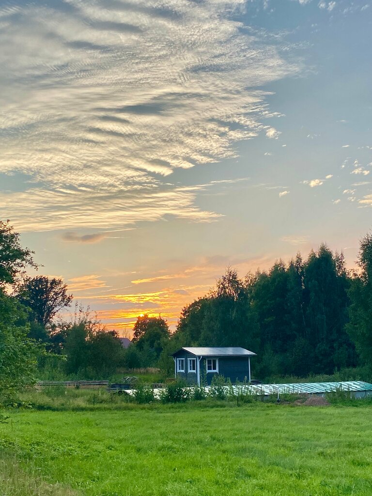 Konuk evi Гостевой дом в Березино, Pskovskaya oblastı, foto