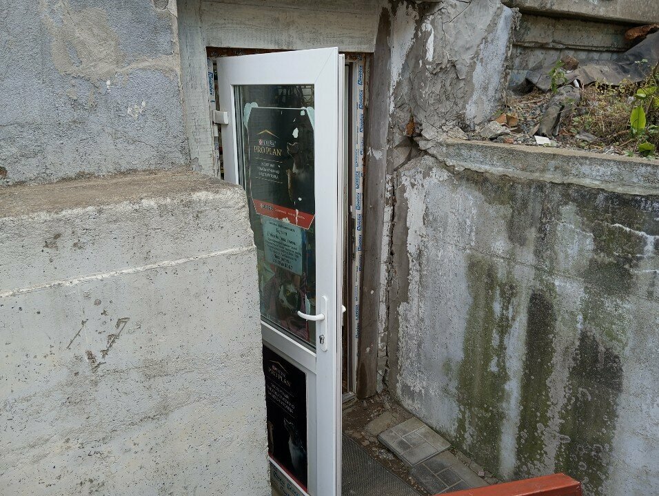 Petshop Зоо-Погребок, Vladivostok, foto