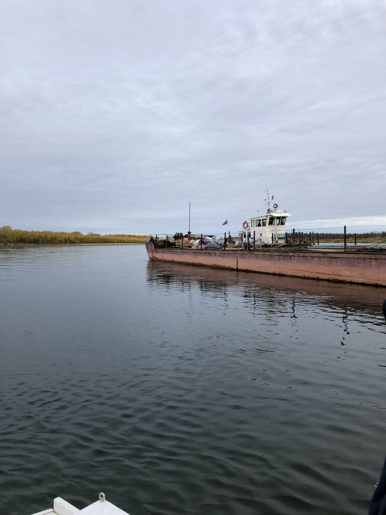 i̇skele Причал 35км, Komi, foto