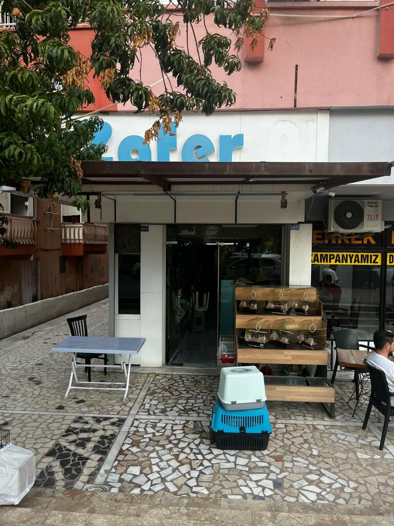 Akvaryumlar Zafer Akvaryum, Antalya, foto