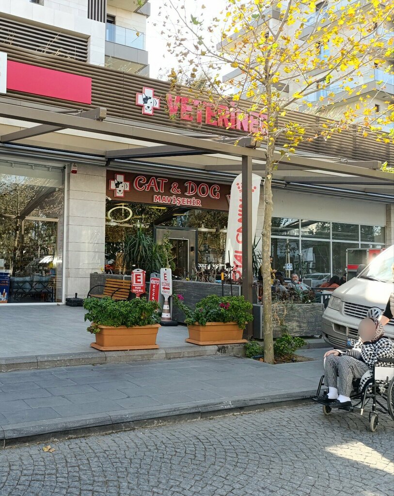 Veteriner klinikleri Cat and Dog Mavişehir Veteriner Kliniği, İzmir, foto
