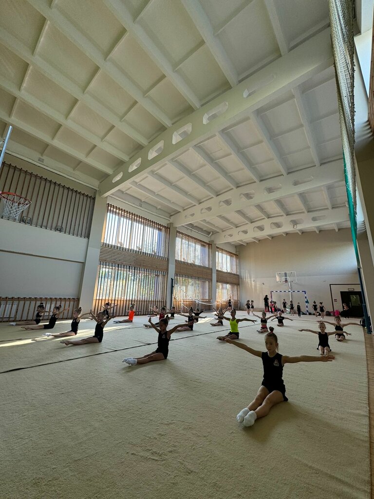 Spor kulüpleri Rhythmic Gymnastics Center Lokomotiv, Moskova ve Moskovskaya oblastı, foto