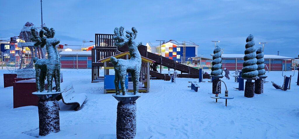 Oyun alanı Playground, Arhangelskaya oblastı, foto