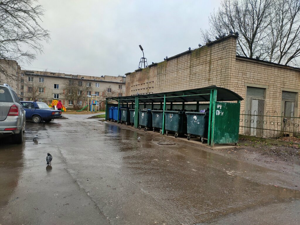Çöp alanları Trash and garbage disposal area, Novgorodskaya oblastı, foto