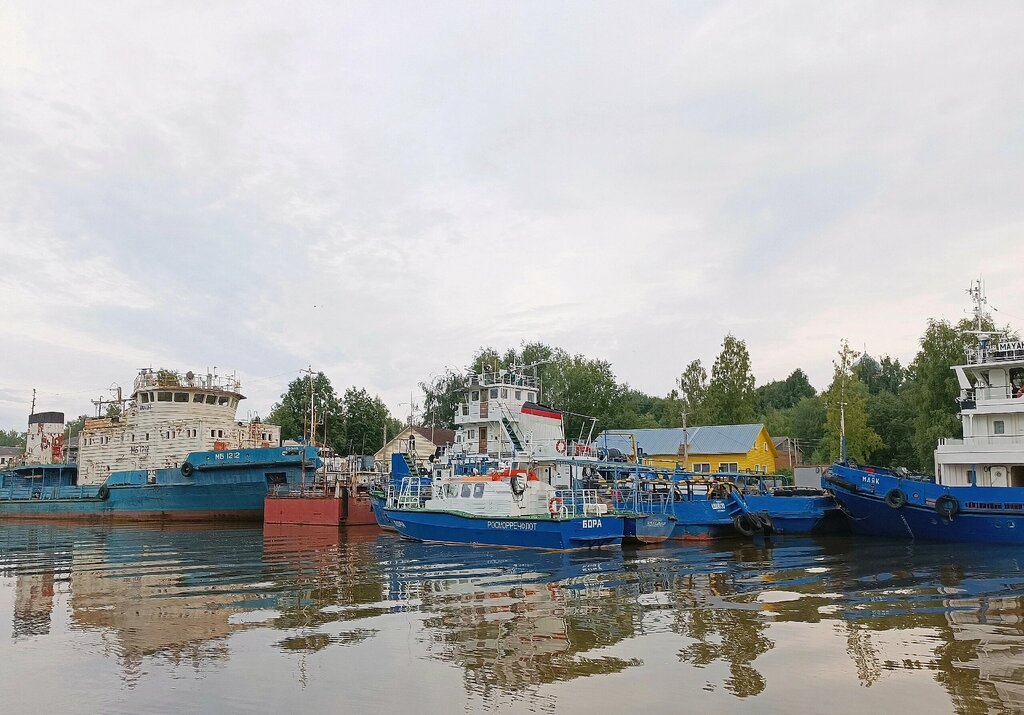 i̇skele Jetty , Vytegra, foto