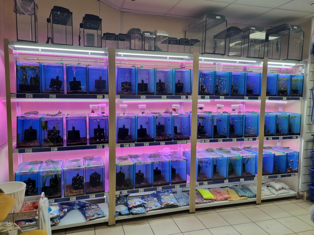 Petshop Волшебный мир, Magnitogorsk, foto