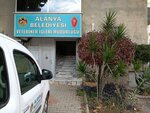 Alanya Belediyesi Veteriner İşleri Müdürlüğü (Cikcilli Mah., 114 Sok., Alanya, Antalya), devlet kurumları ve bakanlıklar  Alanya'dan