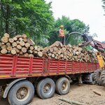 Sbc Orman Ürünleri (Yalova, Yalova Merkez, Kadıköy Beldesi, Merkez Mah., Termal Cad., 40A), kereste üretim ve satış şirketleri  Yalova'dan