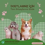 Amazon Petshop (İzmir, Seferihisar, İzmir Cad., 87), petshop  Seferihisar'dan