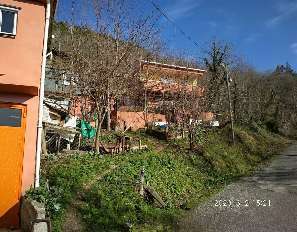 Muhtarlıklar Görentaş Köy Muhtarlığı, Bozkurt, foto