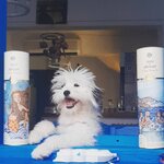 Kalimera Restaurant (Tepe Mah., Barbaros Cad., No:95, Marmaris, Muğla), restoran  Marmaris'ten