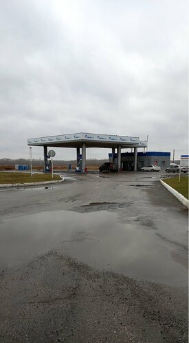 Benzin istasyonu Gazpromneft, Novosibirskaya oblastı, foto