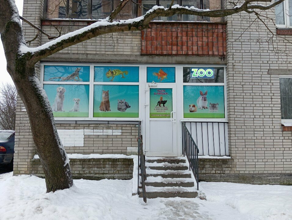 Petshop Чудо в Перьях, Krasnoye Selo, foto