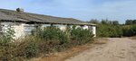 Животноводческое хозяйство (munitsipalnoye obrazovaniye Smolensk, Zadneprovskiy rayon), hayvancılık  Smolensk'ten