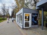 Белка (Lenin Avenue No:36Б), kahve dükkanları  Tomsk'tan