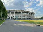 Sector D (Luzhniki Street No:24с1), stadyum bölümü  Moskova'dan